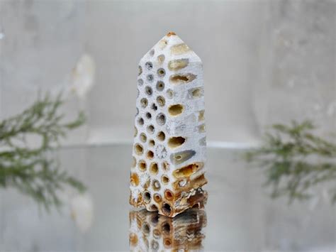 Fossilized Coral Obelisk With Druzy Aa Quality 2 1 Oz Semi Polished Agatized Coral Carved Tower