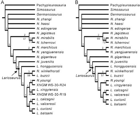 Strict Consensus Trees Resulting From The Phylogenetic Analyses Of