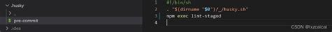 Git Commit 提交的时候husky Pre Commit Hook有报错，但是无报错具体信息git Commit 报错 Usage Npm Csdn博客