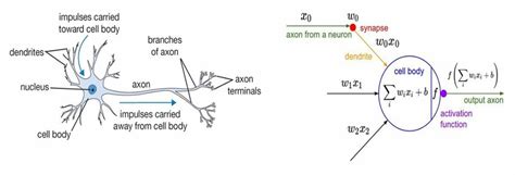 Artificial Neural Network And Deep Neural Network Download Scientific Diagram
