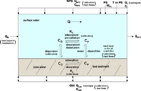 Schematic Diagram Of Major Metals Fate And Transport Processes In Wasp Download Scientific