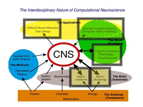 Ppt Basics Of Computational Neuroscience Powerpoint Presentation Free Download Id2775251