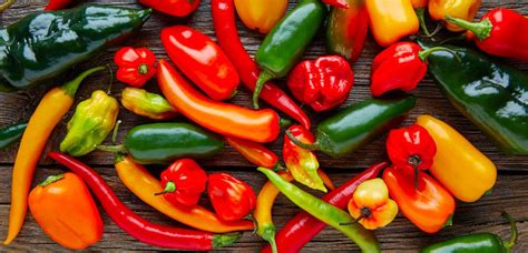 The Complete Pepper Guide Tlc Garden Centers