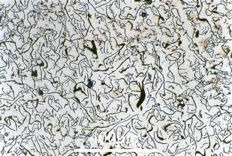 17 Microstructure Ideas It Cast Microscope Magnification