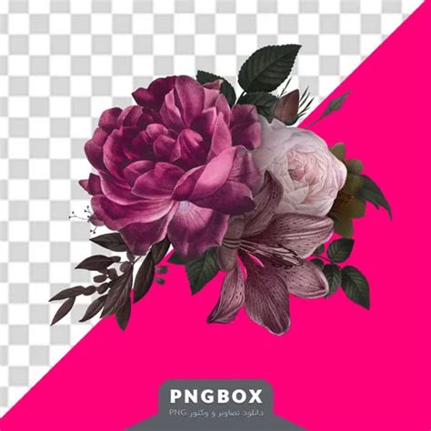 وکتور و تصاویر گل با فرمت Png  با کیفیت عالی