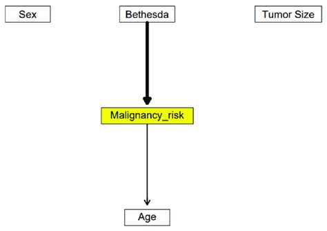 The Estimated Bayesian Network Structure The Yellow Node Represents