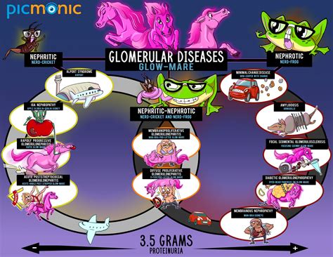 Infographic How To Study Glomerular Disorders Picmonic
