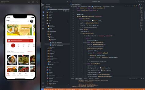 Flutter Developer Mobile App Web App