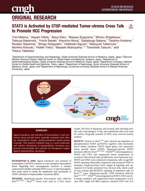 Pdf Stat3 Is Activated By Ctgf Mediated Tumor Stroma Cross Talk To Promote Hcc Progression