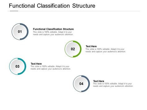 Functional Classification Structure Ppt Powerpoint Presentation Visuals Cpb Powerpoint