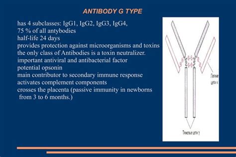 Antigens And Antibody Of Human Body Partppt