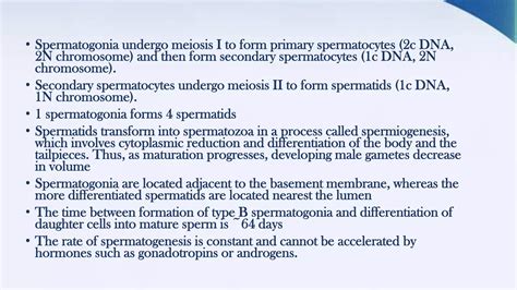 Spermatogenesis Physiology I Spermatogenesis Vs Oogenesis I Reproductive Physiology I PDF