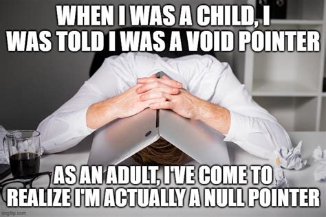 Void Pointers Are Full Of Mystery And Potential Rprogrammerhumor