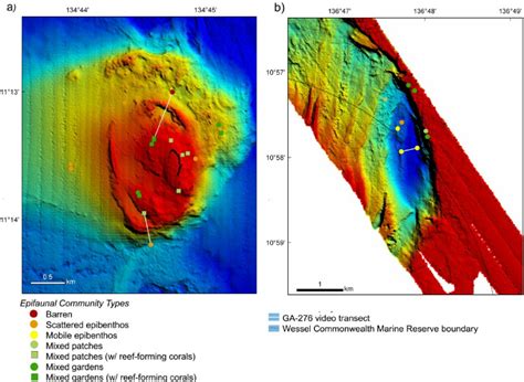 3 Broad Epifaunal Community Classifications Of Each Station Based On