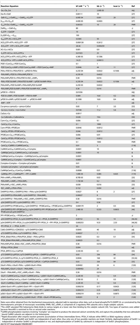 Reactions And Rate Constants Of Signaling Pathways In The Model Download Table
