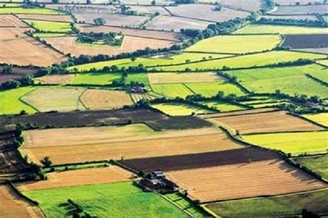 زمین کشاورزی یا جگر زلیخا قانونی که خاک می خورد ایسنا