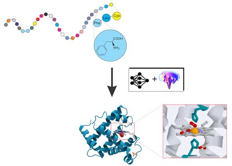 Zhang Yang Nus Computing