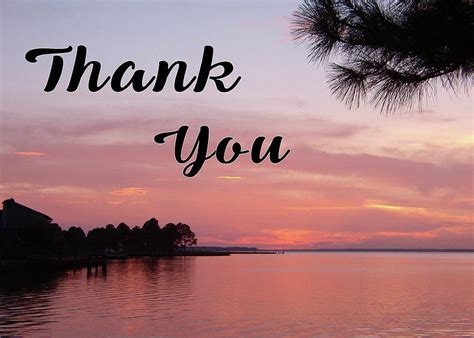 Sunset Thank You Photograph By Kathy K Mcclellan Fine Art America