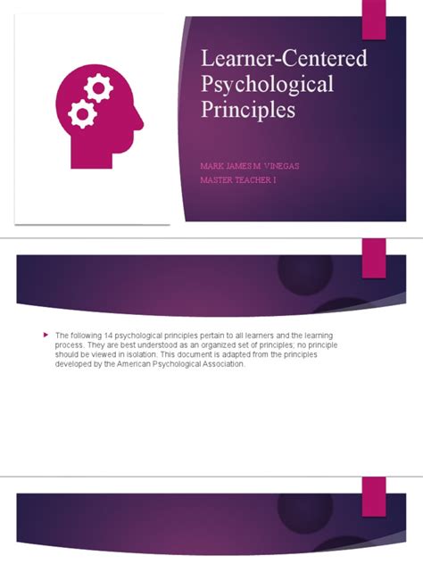 Learner Centered Psychological Principles Pdf Learning Motivational