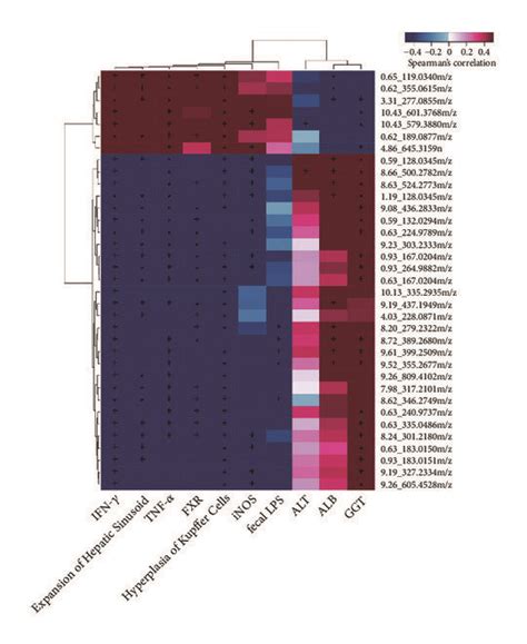 Spearman Correlation Between The Fecal Microbiota And Fecal Scfas A Download Scientific