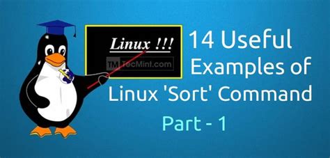 14 Useful Examples Of Sort Command In Linux Part 1