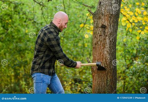 Man Cutting Trees With Axe