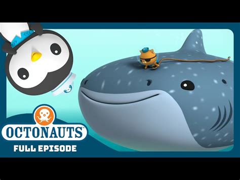 Octonauts 😱 The Enormous Whale Shark 🦈 Season 1 Full Episode