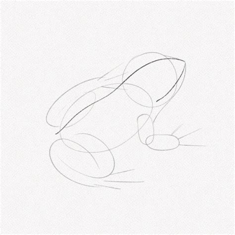 Hướng Dẫn Cách Vẽ Con ếch đơn Giản Từng Bước ấn Tượng