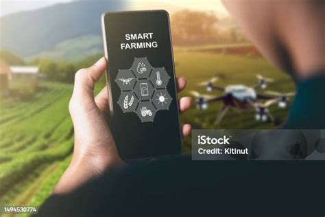 Iot Internet Of Thinking 기술을 활용한 스마트 농업과 Ai 인공지능을 이용한 분석은 농업의 생산성 향상 연구개발에 도움이 됩니다 가상현실에 대한 스톡