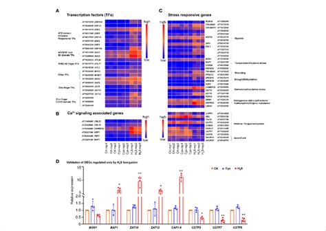 Heatmap Representation And Qrt Pcr Analysis Of Some Degs Regulated By H