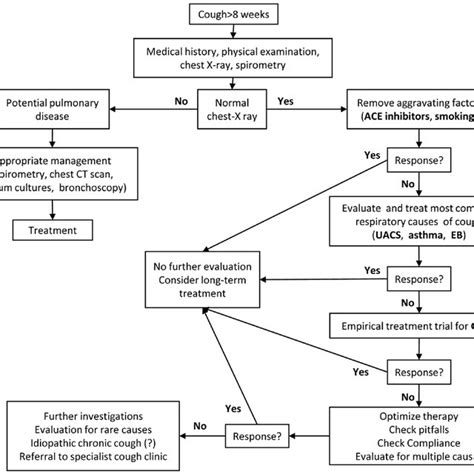 A Clinical Algorithm For The Management Of Chronic Cough Download Scientific Diagram