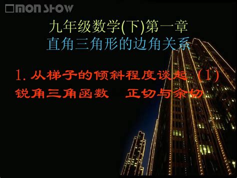 [名校联盟]甘肃省张掖市临泽县第二中学九年级数学下册第一章《从梯子的倾斜程度谈起 1 》课件 word文档在线阅读与下载 无忧文档