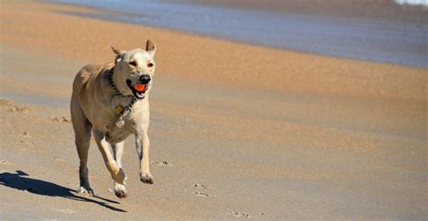 ruby caught out by fetch