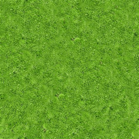 Grass Texture Png