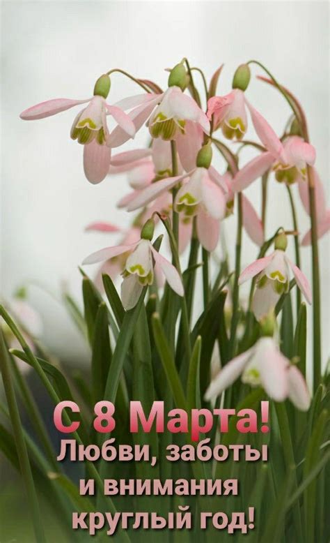 Пин от пользователя Elvi на доске Пожелания в 2024 г Праздничные открытки Современная