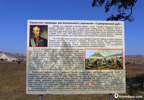 Суворовский дуб