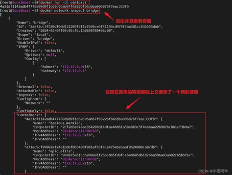 Docker之网络配置 Docker网络配置 Csdn博客