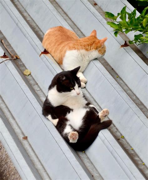 Stlandandsort排序重载 知乎 Stlandandsort排序重载 知乎