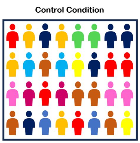 15 Random Assignment Examples 2025