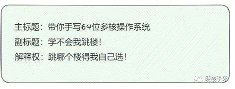 硬核子牙：我准备写一本《带你手写64位多核操作系统》的书！ 子牙手写操作系统 csdn博客