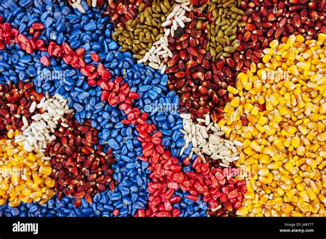 Colorful Texture Of Chemically Treated Corn Maize Crop Seed Ready For
