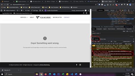 Javascript Console Error