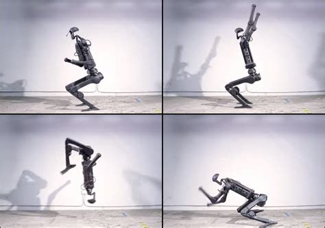 Img 1711165938300 953 