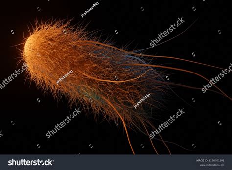 Flagellated Bacteria Microbe 3d Rendering Medical Stock Illustration 2190701301 Shutterstock