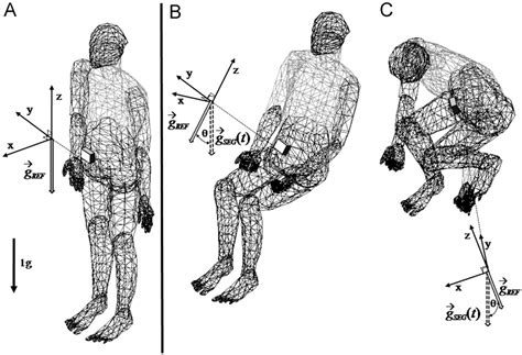Figure 1 From Evaluation Of Waist Mounted Tri Axial Accelerometer Based