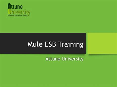 PPT Mule ESB Training PowerPoint Presentation Free Download ID 8942518 PPT Mule ESB Training PowerPoint Presentation Free Download ID 8942518