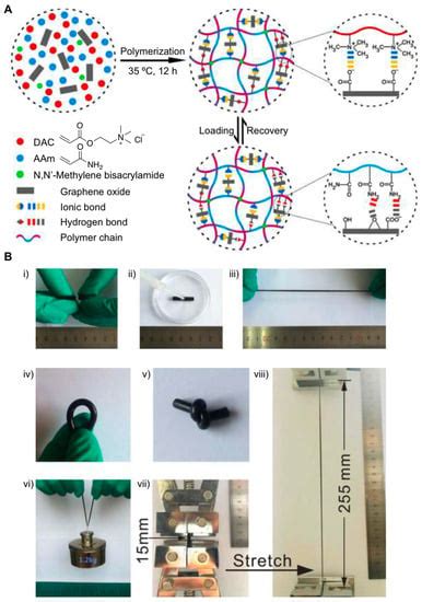 Gels An Open Access Journal From Mdpi