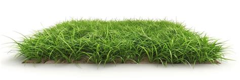 Premium Photo Grass Render Square Green Lawn Background Isolated On Premium Photo Grass Render Square Green Lawn Background Isolated On