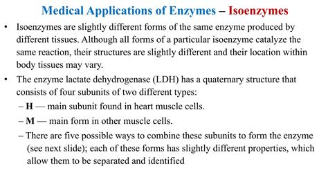 Biochemistry Lecture Notes Enzymes PDF