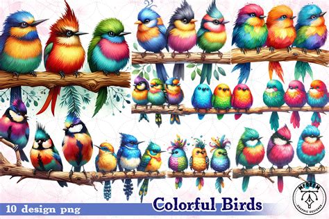 Colorful Birds Clipart Png Graphic By Mfreem · Creative Fabrica